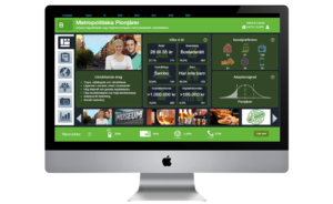 Mosaic | Lifestyle based segmentation | InsightOne